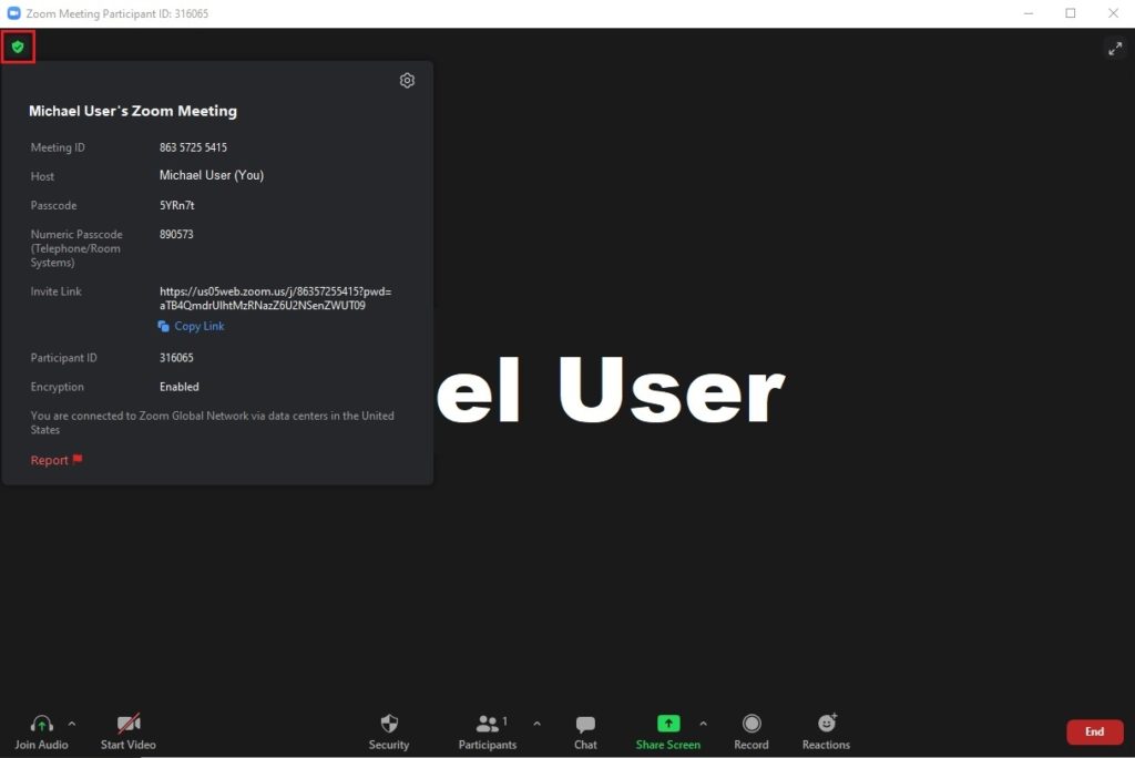 What are the Zoom Detail buttons During Live Meeting - WhatisMyLocalIP