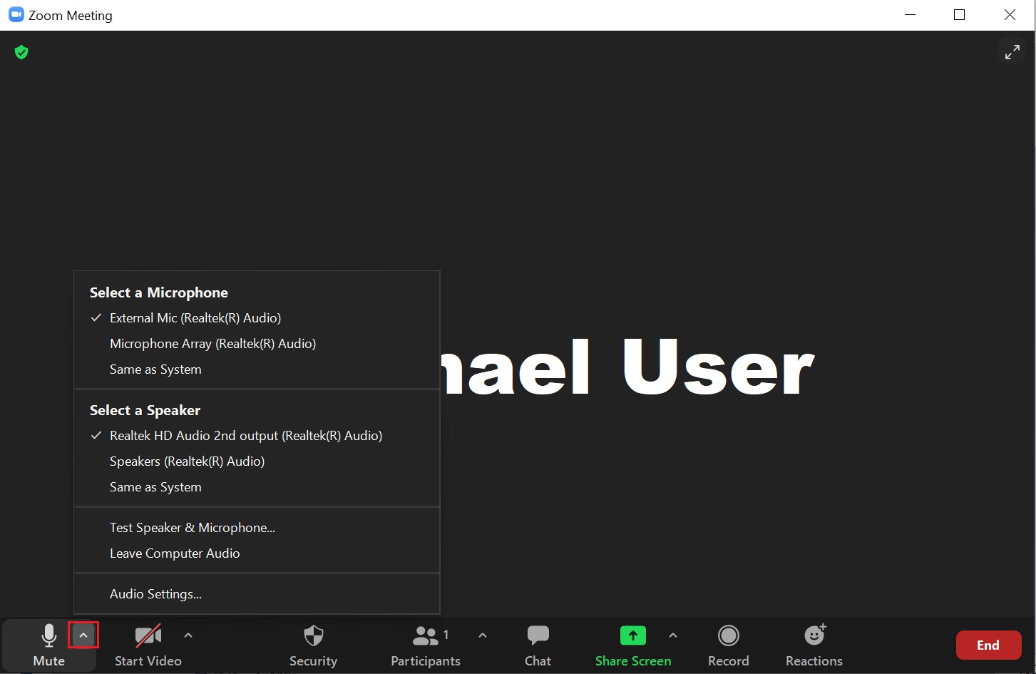 What are the Zoom Detail buttons During Live Meeting - WhatisMyLocalIP