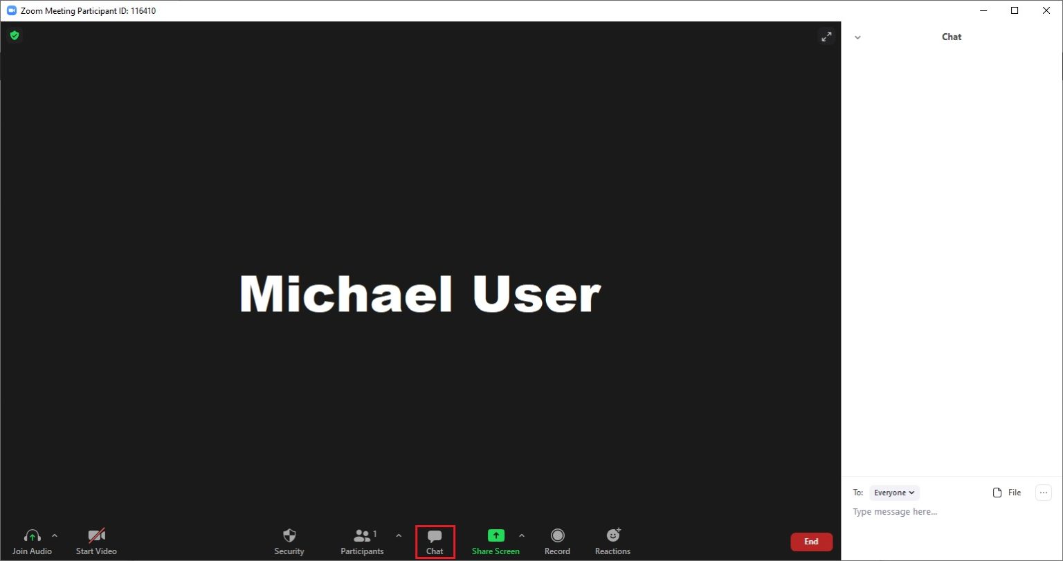 What are the Zoom Detail buttons During Live Meeting - WhatisMyLocalIP